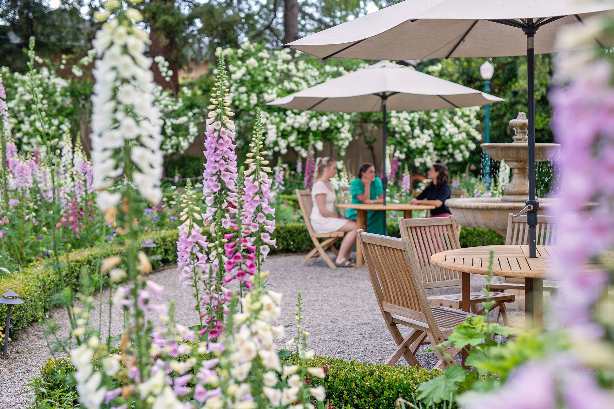 Luxury Wine Country Resort | Lodi, CA | Appellation Hotels